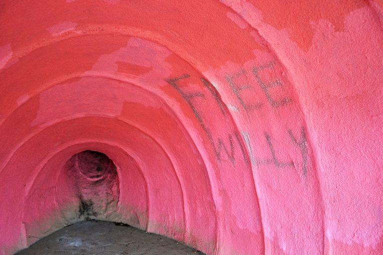 Abandoned Theme Park: Mother Goose Land – Unicorn Hideout
